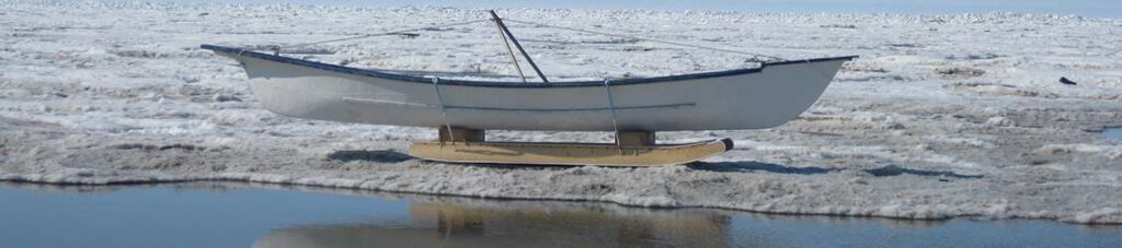 Government & External Affairs