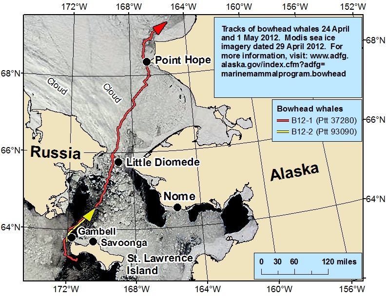 2012 - The North Slope Borough