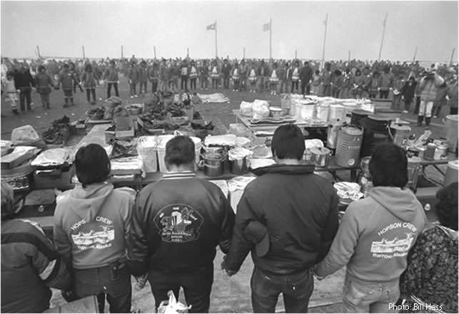 Bowhead Whale Subsistence Harvest Research