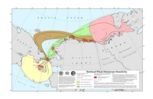 Bowhead Whale Subsistence Harvest Research