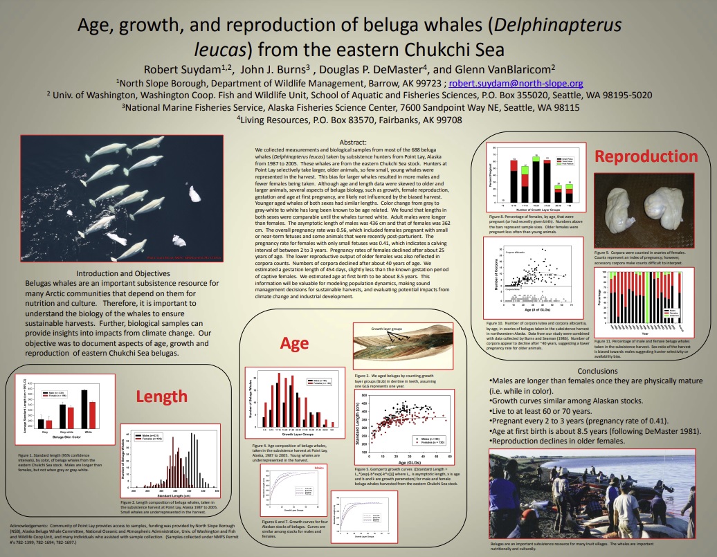 Beluga Age, Growth & Reproduction - The North Slope Borough