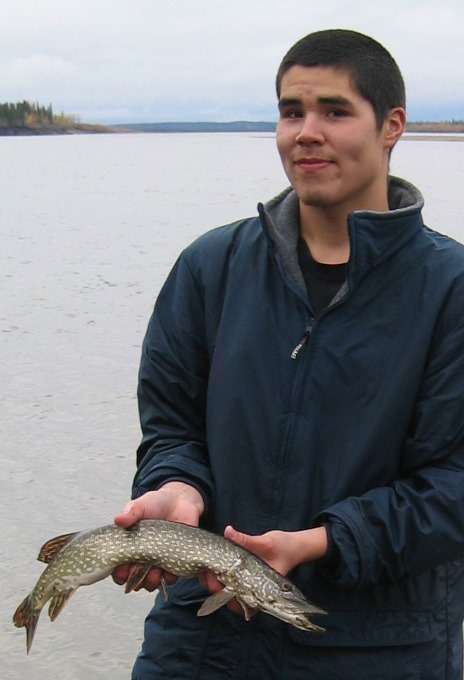 Common Fish on the North Slope