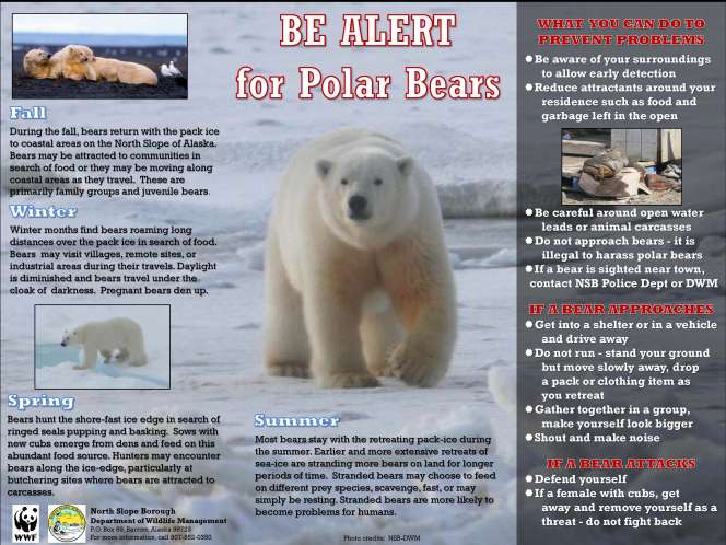 Polar Bear Patrol & Polar Bear Safety