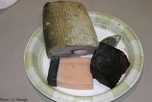 Contaminants & Nutrition Studies